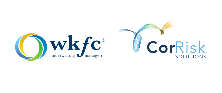 Dawn D’Onofrio Promoted to CEO and President of WKFC Underwriting ...